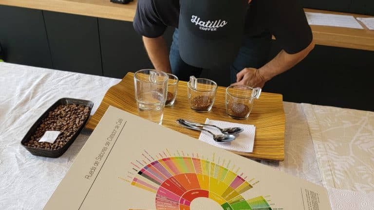 What is SCA Cup Score? | Hatillo Coffee®