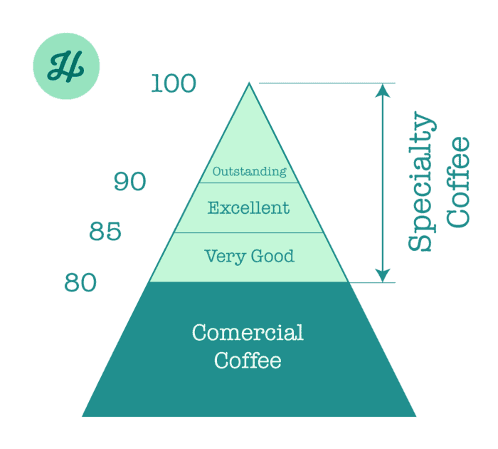What is SCA Cup Score? | Hatillo Coffee®
