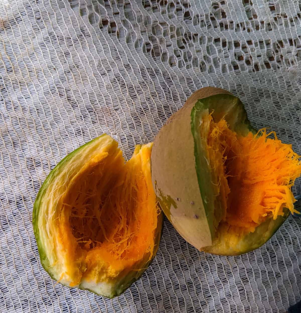Finca El Jardin | Hatillo Coffee®